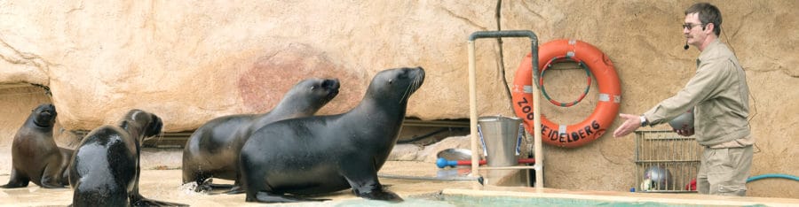 Zooplan & Fütterungen