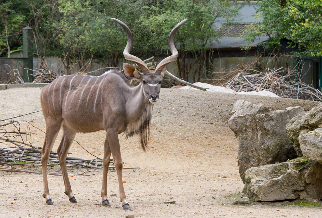 Zootiere als Futtertiere - Zoo Heidelberg - Leben Live Erleben