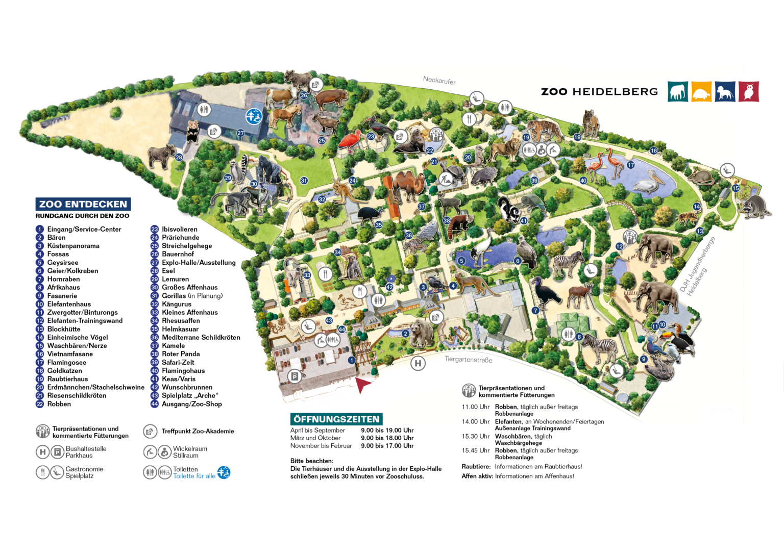Zooplan & Fütterungen